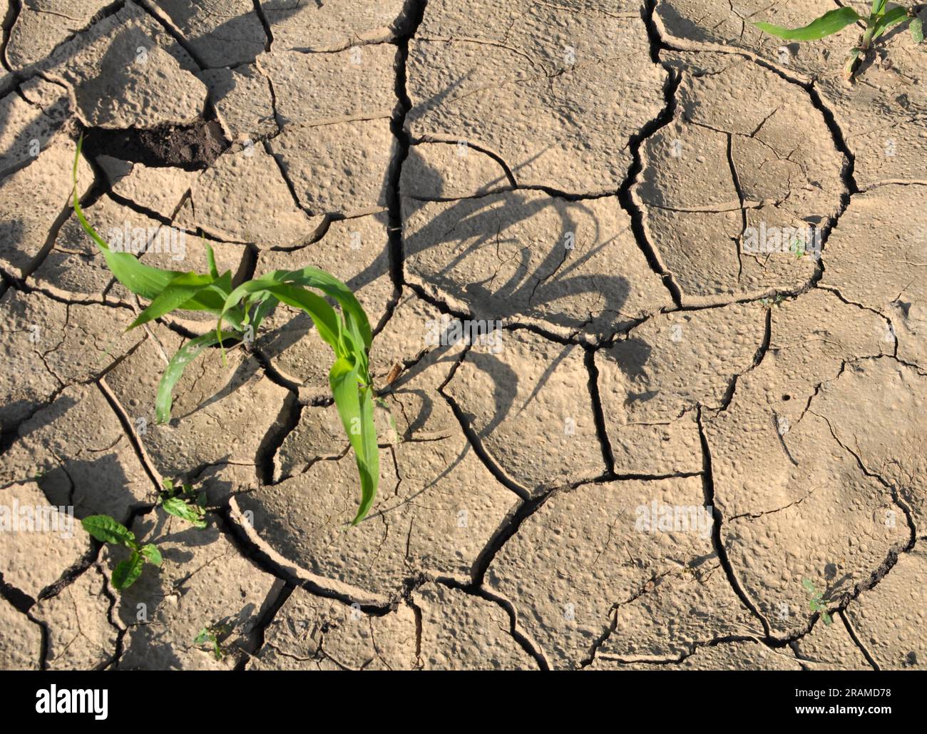 Soil ground texture hi-res stock photography and images - Alamy