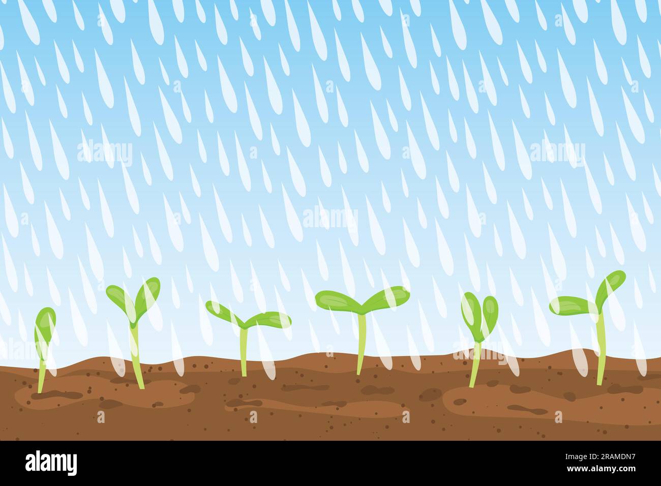 falling rain drops over young plants- vector illustration Stock Vector ...