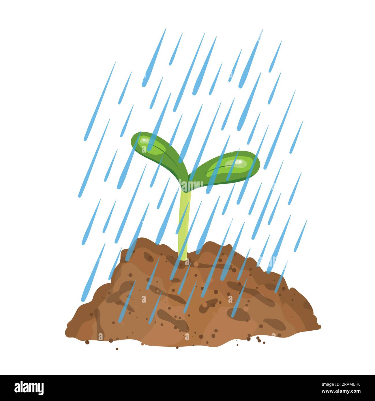 Sprout plant water drops Cut Out Stock Images & Pictures - Alamy