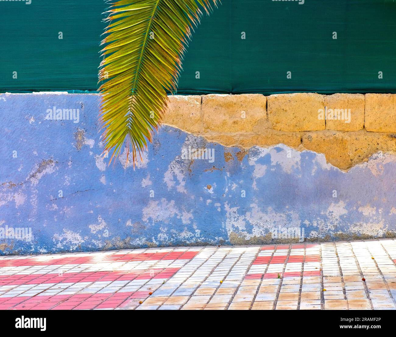 A weathered wall, a colorfull pavement, a palm frond, old town architecture detail Stock Photo ...