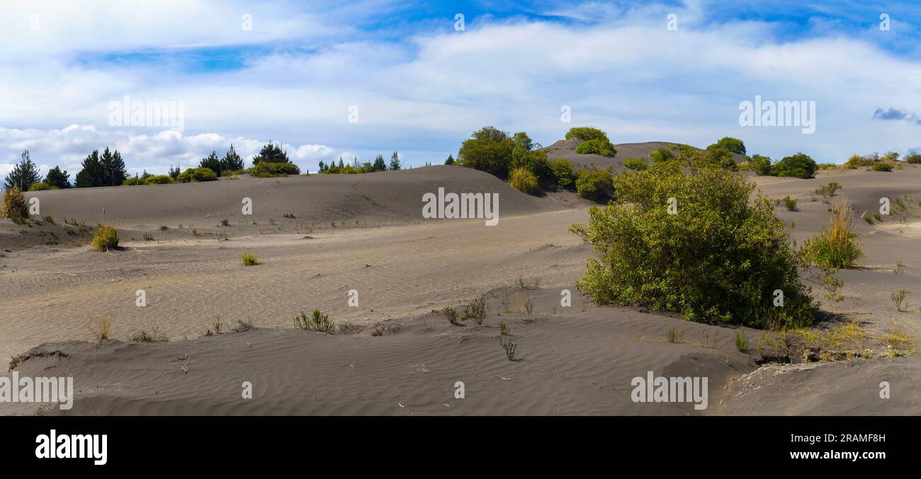 Palmira desert (Desierto de Palmira) in Ecuadorian Andes Stock Photo ...