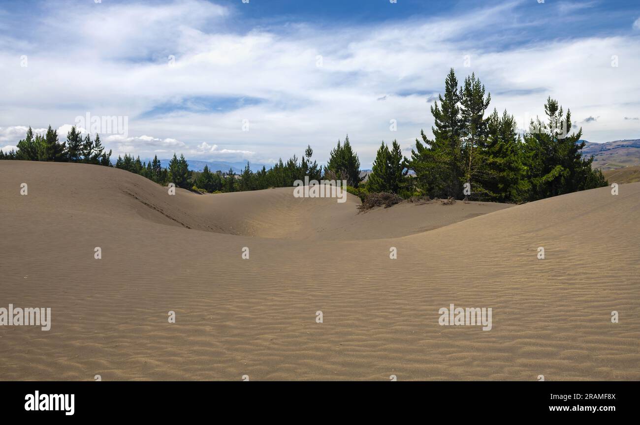 Desierto de palmira hi-res stock photography and images - Alamy