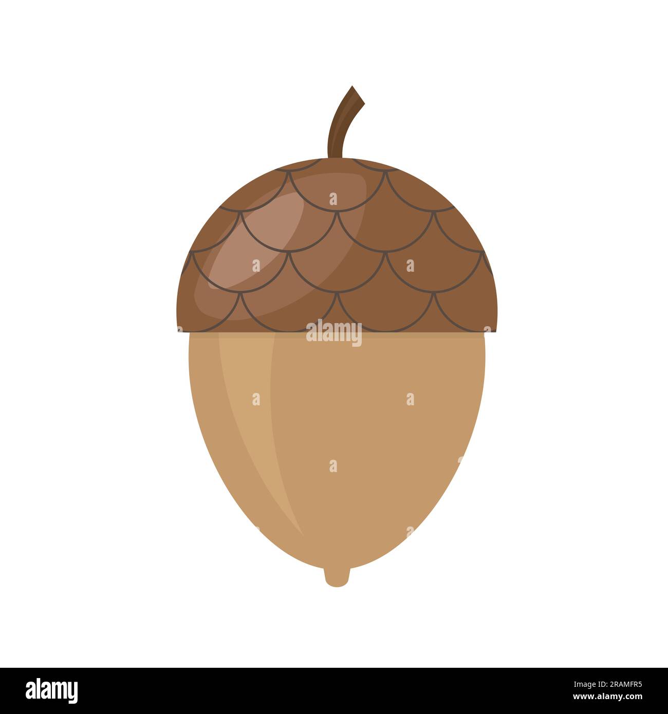 oak nut, acron icon- vector illustration Stock Vector Image & Art - Alamy