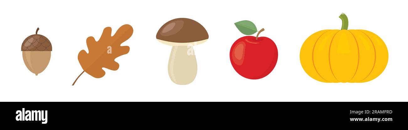 autumn banner with acorn, oak leaf, boletus mushroom, apple and pumpkin ...