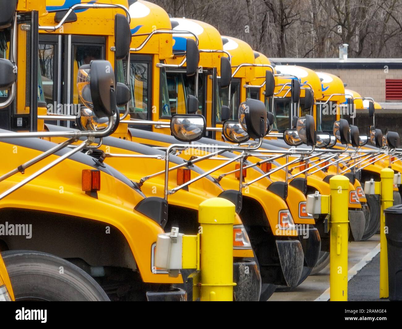 View of the front end of yellow school buses in a parking lot Stock ...