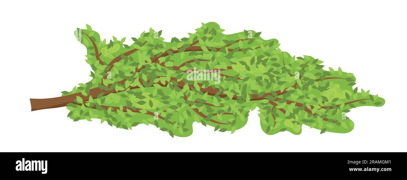 long tree branch with green leaves- vector illustration Stock Vector ...