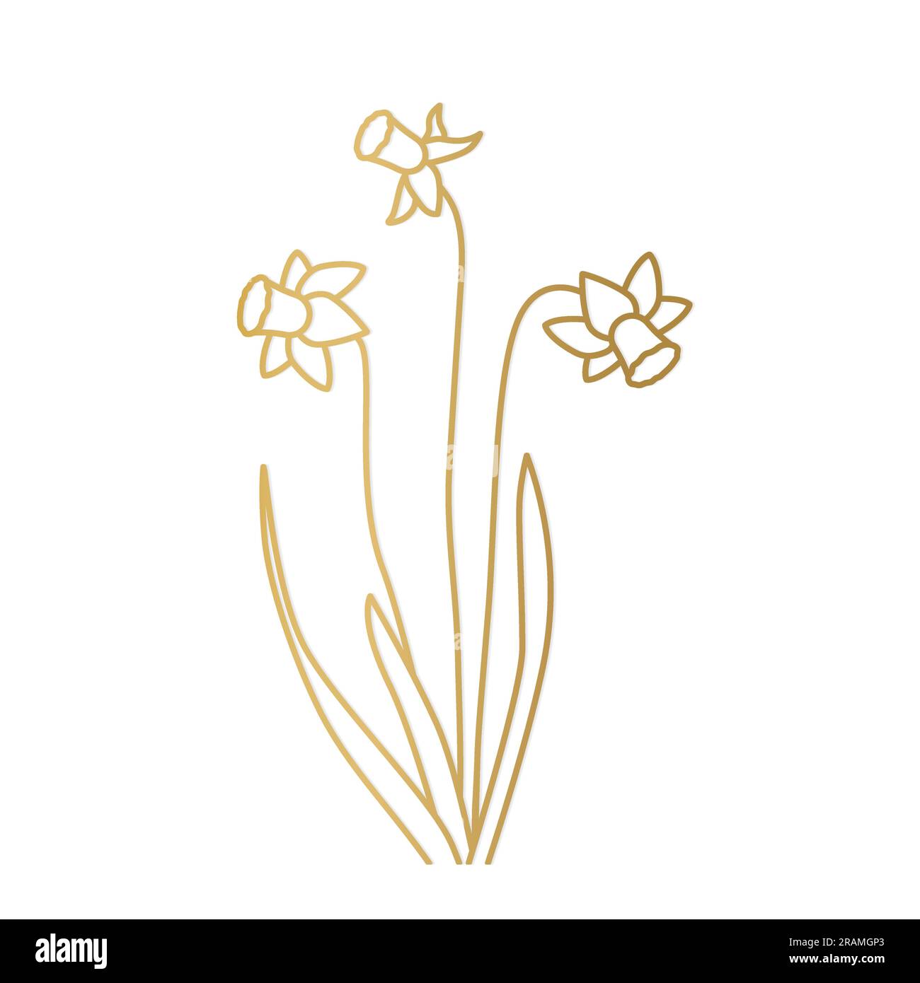golden spring daffodil flower- vector illustration Stock Vector Image ...