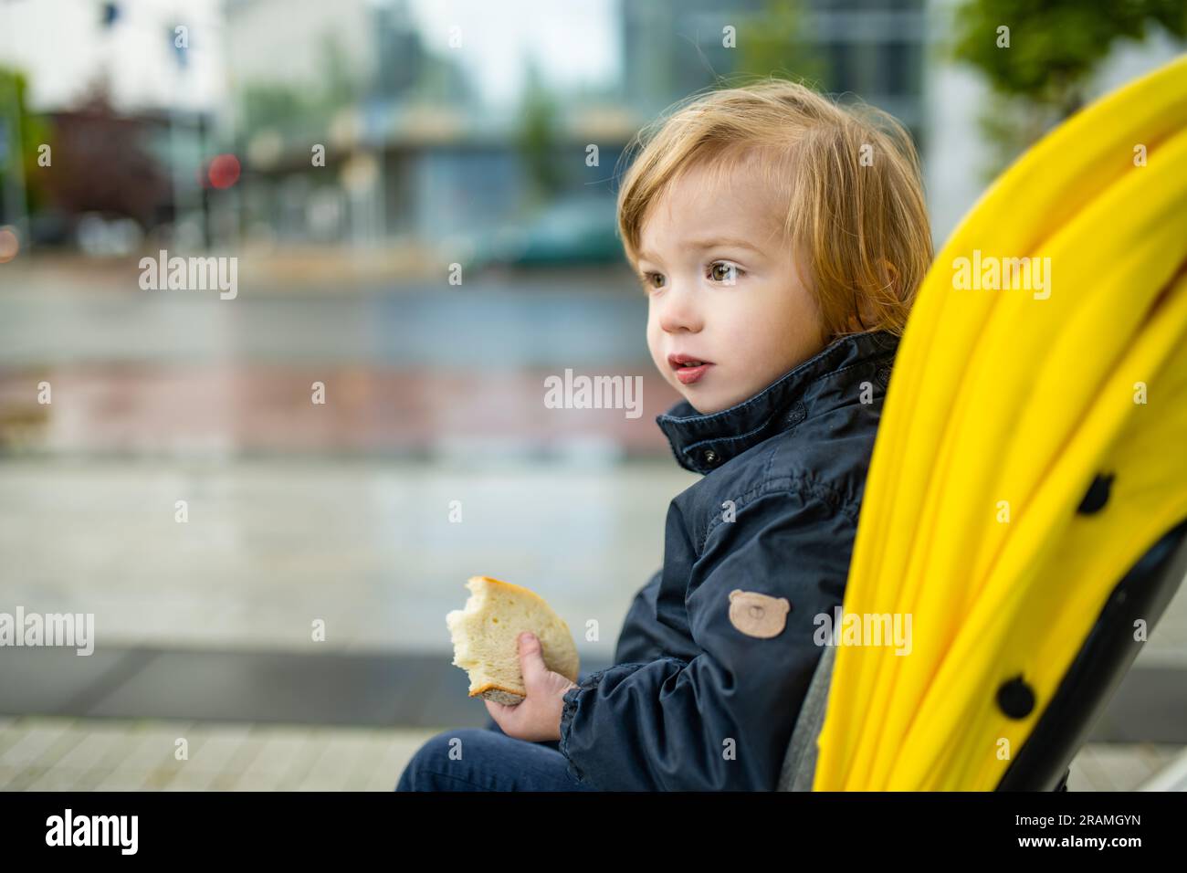 Sweet toddler boy sitting in a stroller outdoors. Little child in pram ...