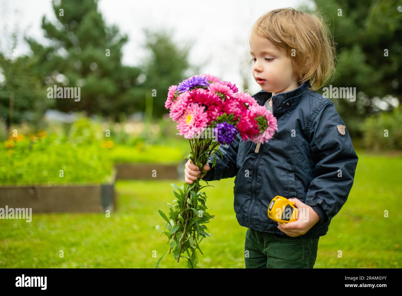 Cute toddler boy holding a bunch of colourful aster flowers. Child ...