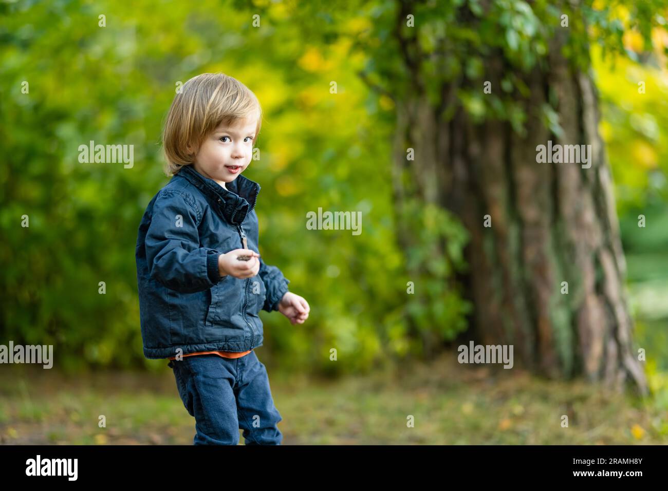 Funny toddler boy having fun outdoors on sunny autumn day. Child ...
