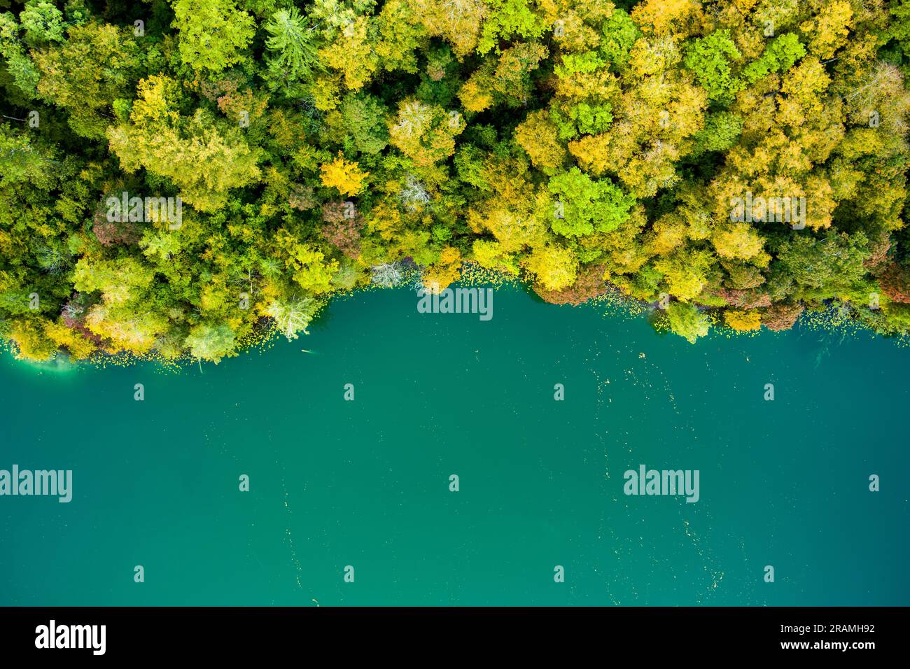 Gulbinas hi-res stock photography and images - Alamy