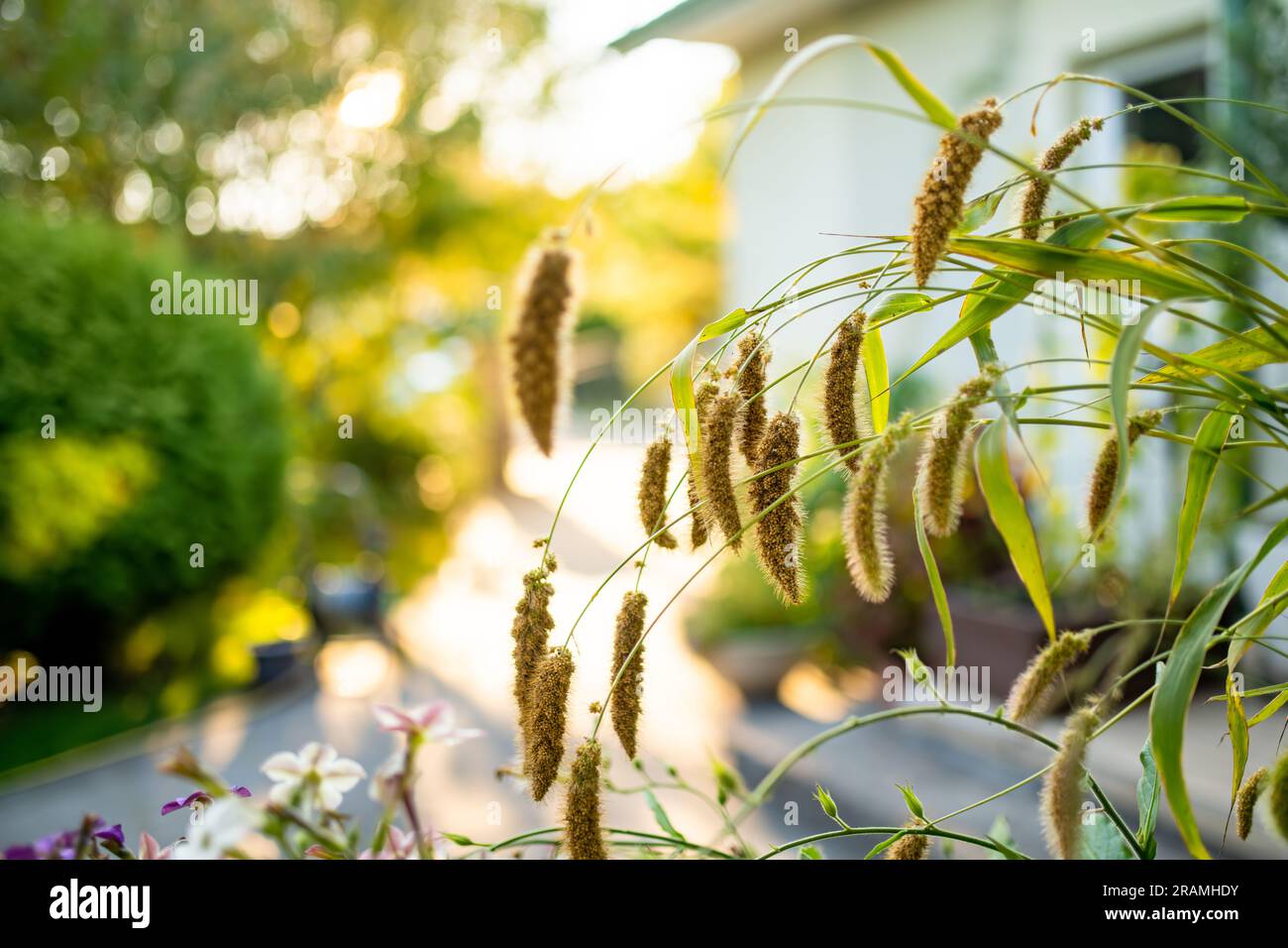 Beautiful outdoor scenery hi-res stock photography and images - Alamy