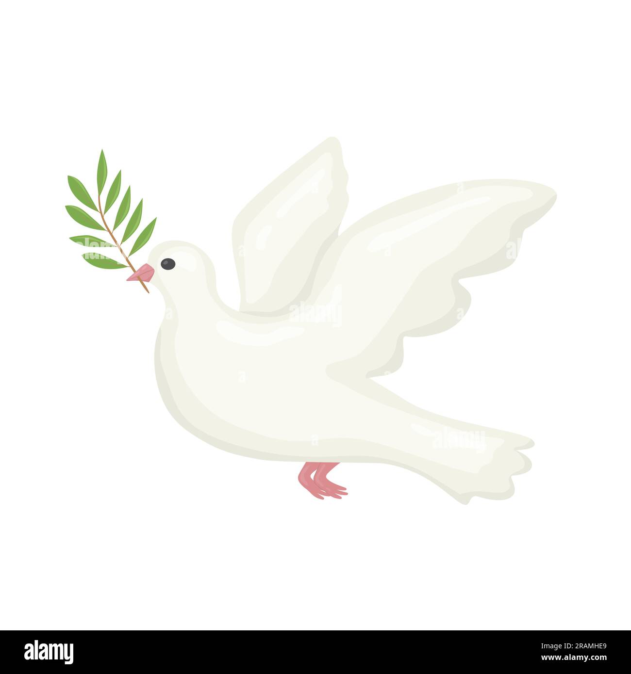 white dove with olive twig, symbol of peace, freedom and Holy Spirit ...