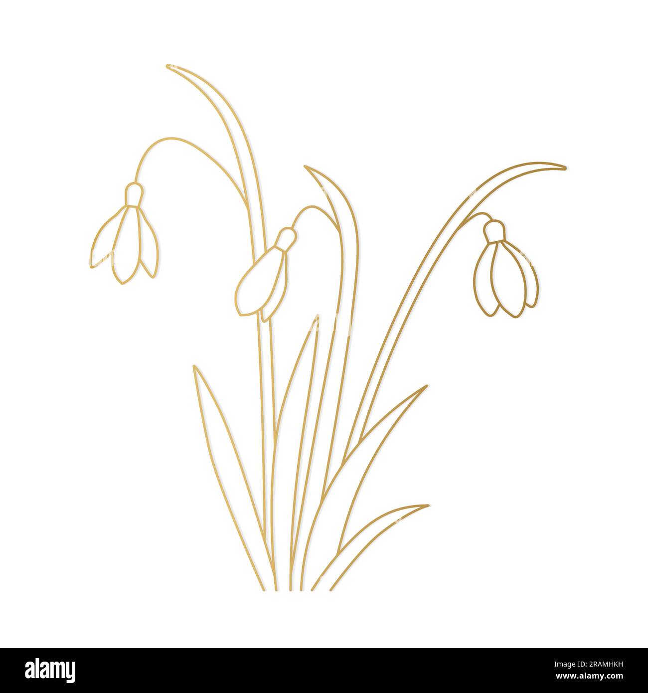 golden outline of snowdrops flowers -vector illustration Stock Vector ...