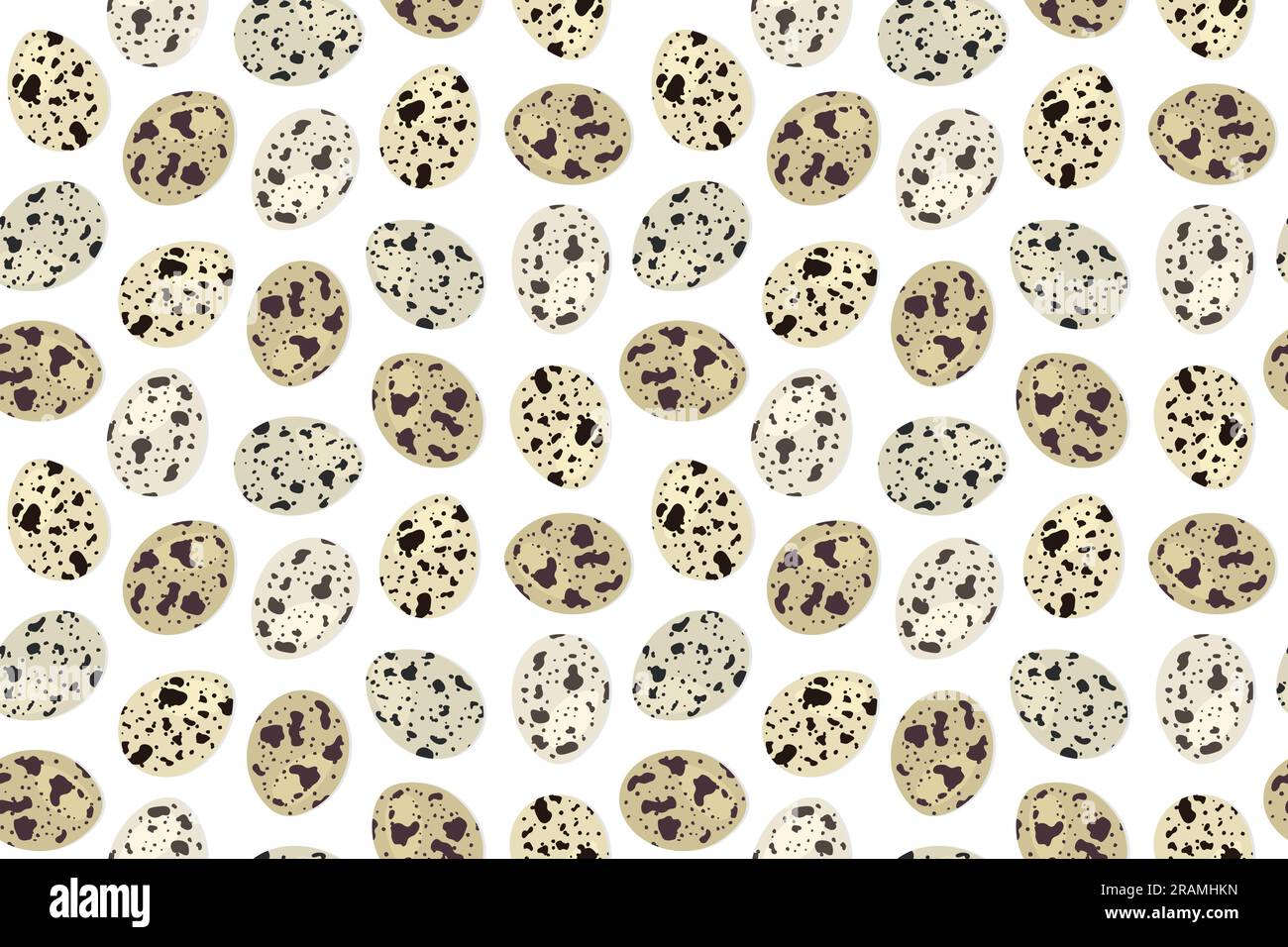 quail eggs seamless pattern - vector illustration Stock Vector Image ...
