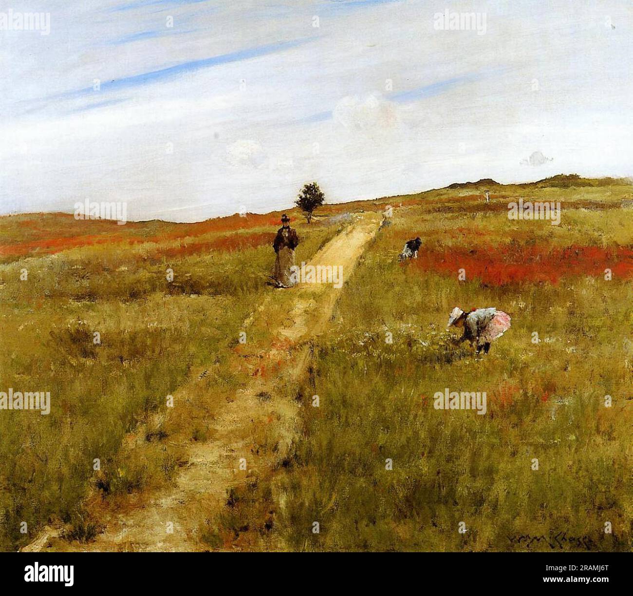 Shinnecock hills autumn hi-res stock photography and images - Alamy