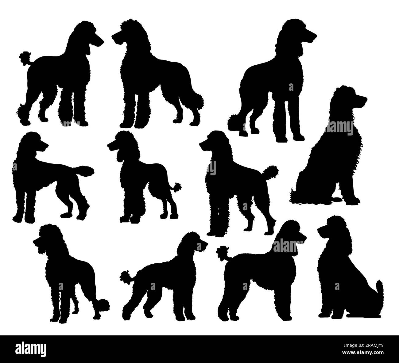 Set of silhouettes of black dogs,poodle,breed,logo Stock Vector Image ...