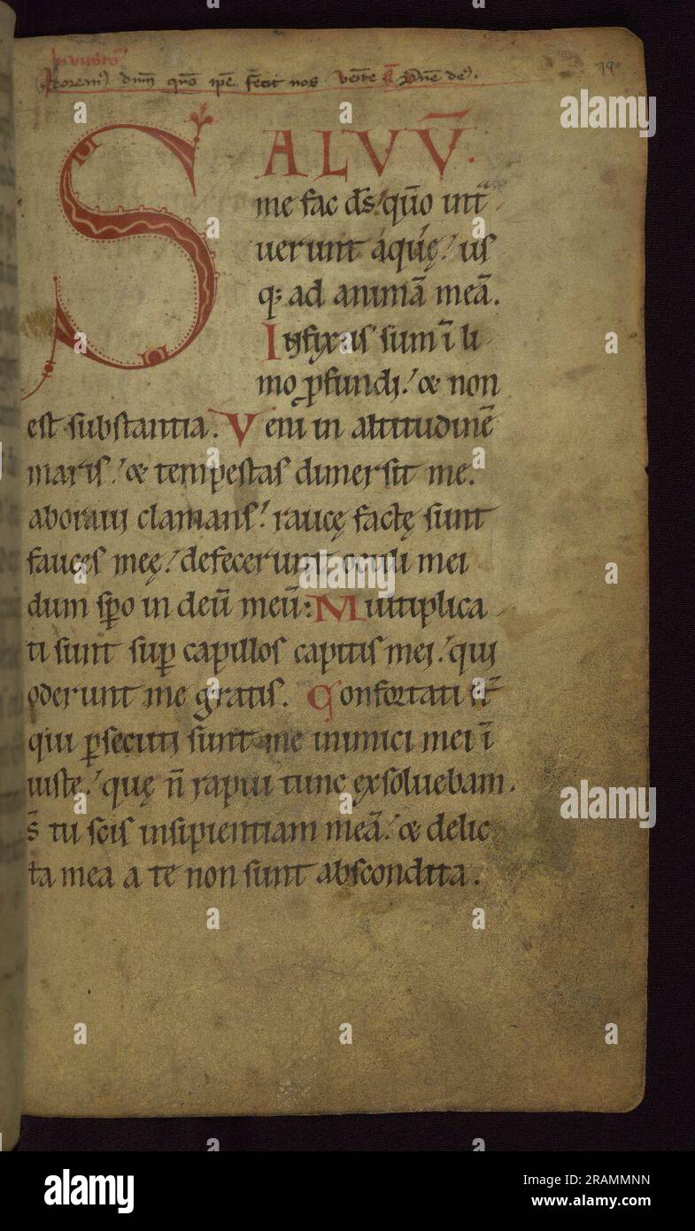 Claricia hi-res stock photography and images - Alamy