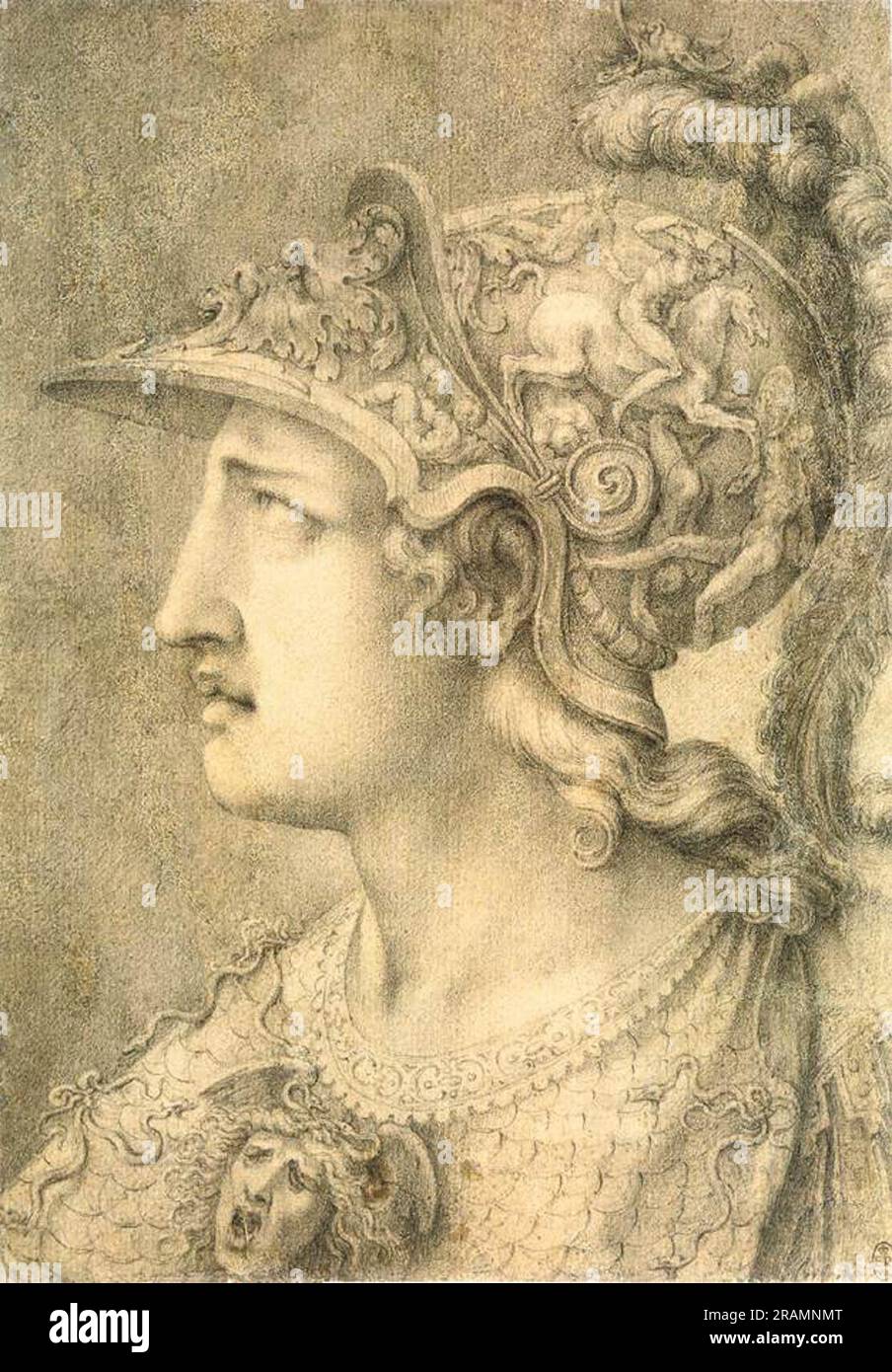 Head of Minerva 1549 by Giulio Clovio Stock Photo - Alamy