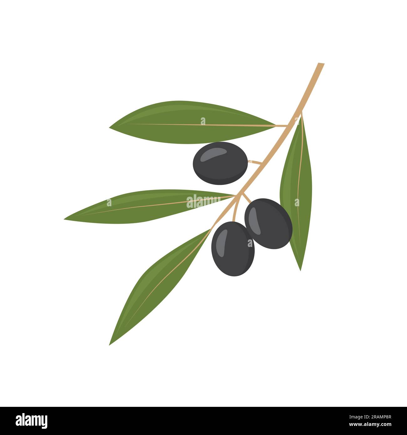 black olive tree branch- vector illustration Stock Vector Image & Art ...