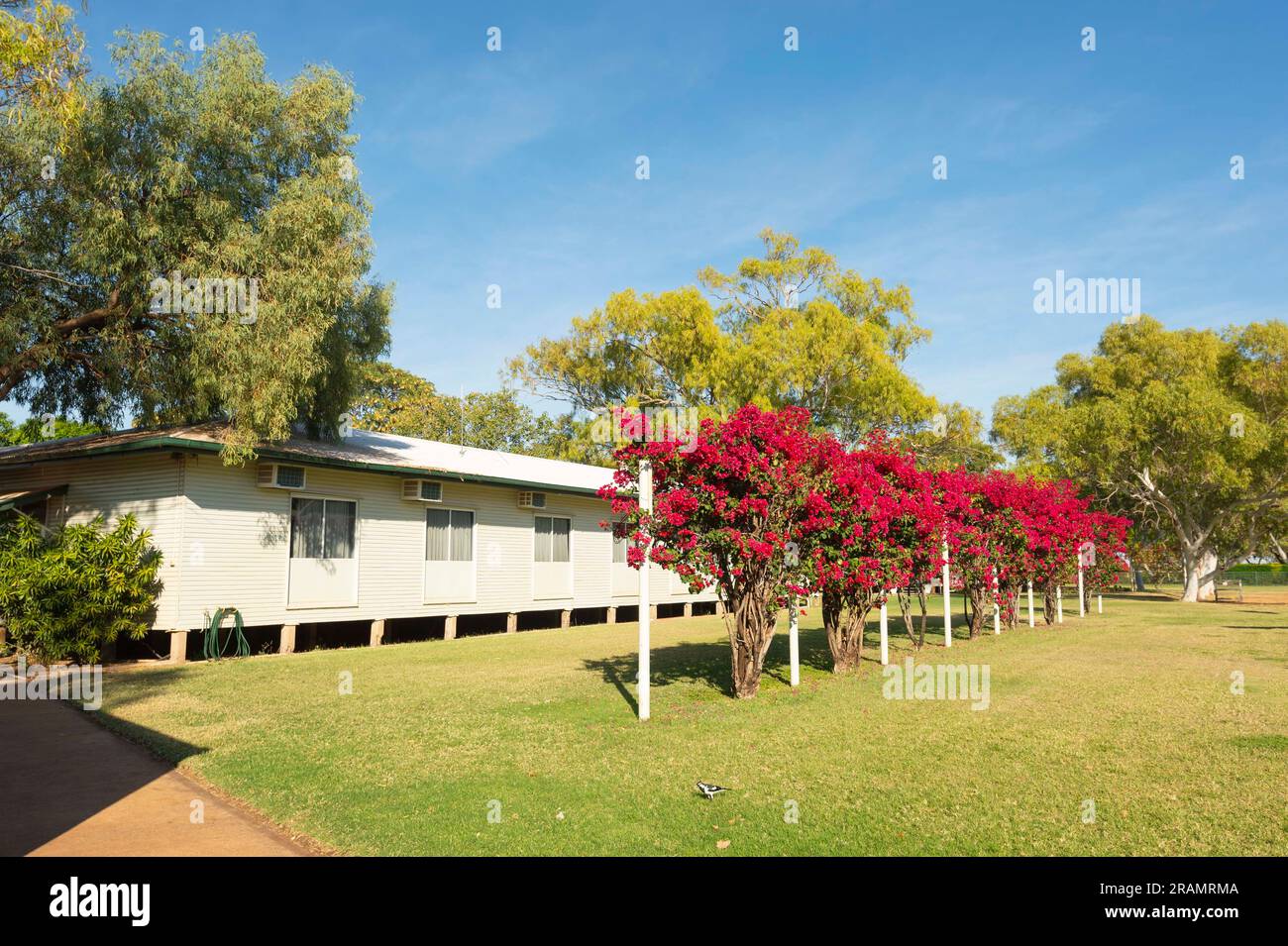Barkly nt hi-res stock photography and images - Alamy