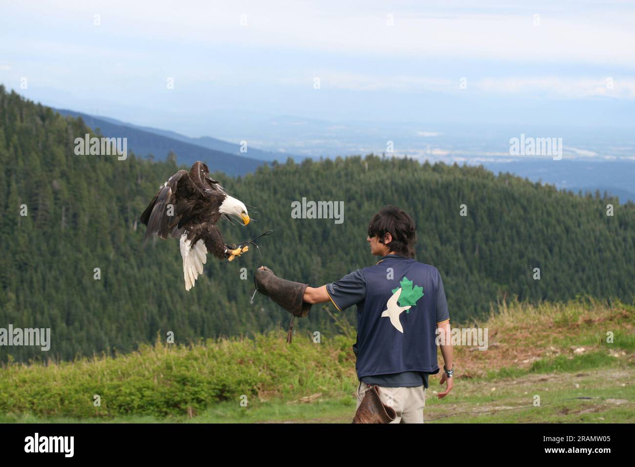 Trained Eagle and Trainer on Grouse Mountain Stock Photo - Alamy