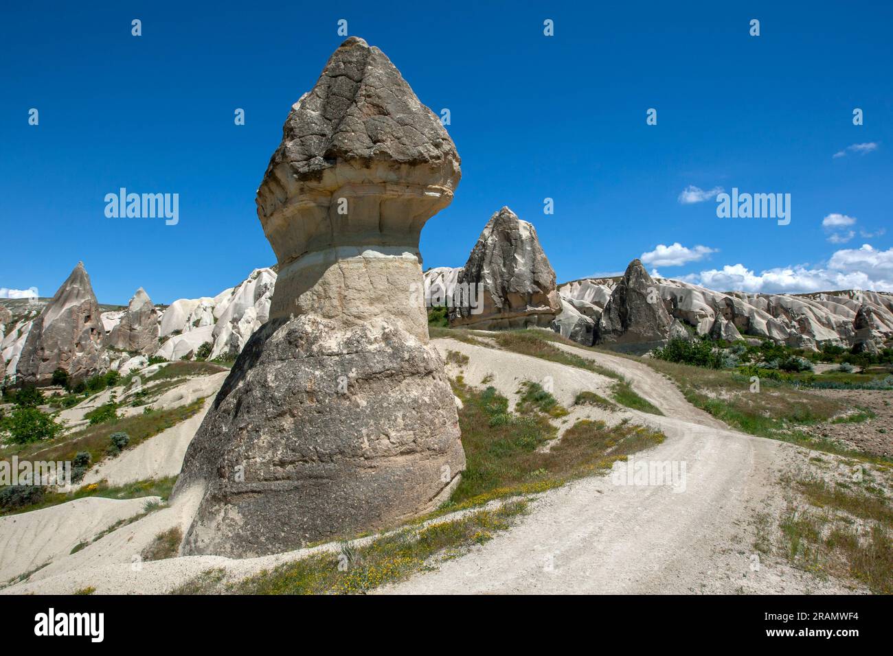 A volcanic rock formation known as a fairy chimney located in Rose ...