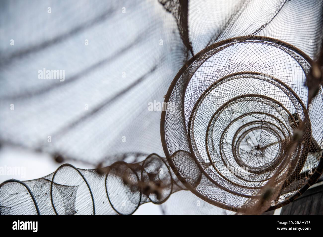hanging fish trawl or fish trap with hoops to catch fish Stock Photo ...