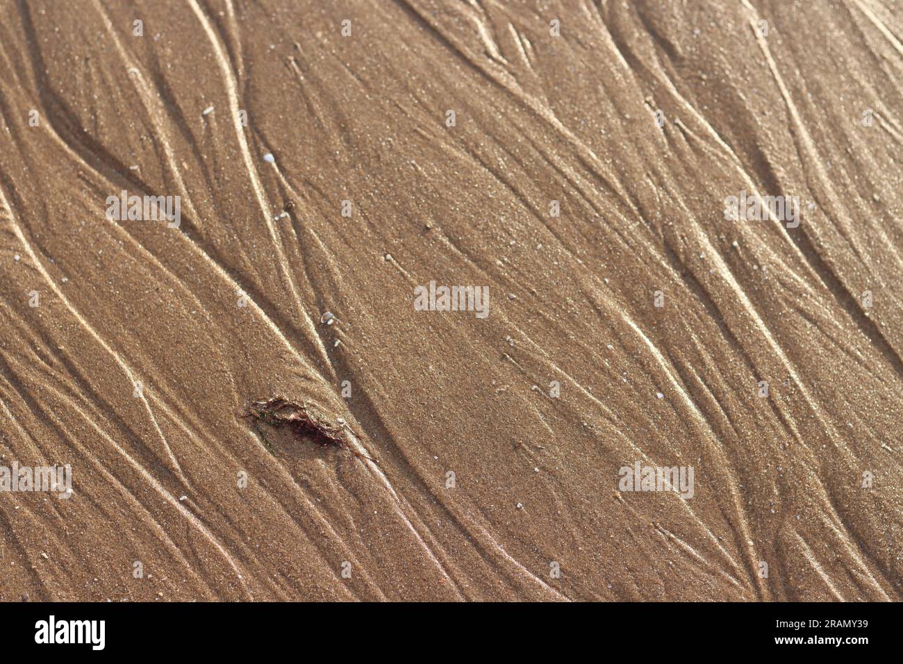Wet floor sand texture and pebbles at the beach. Closeup texture and ...