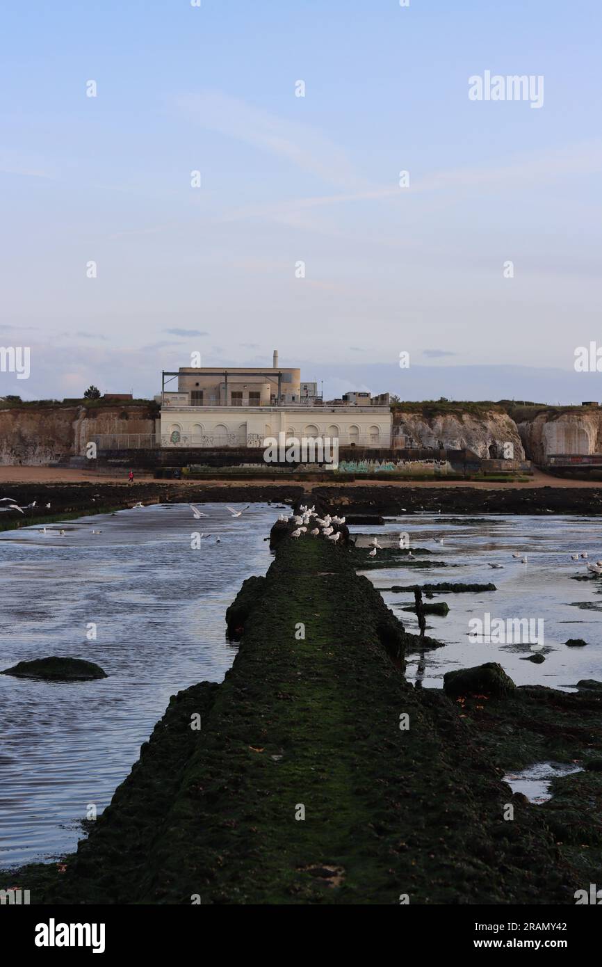 View of Southern Water and the white cliffs, between Botany Bay and ...