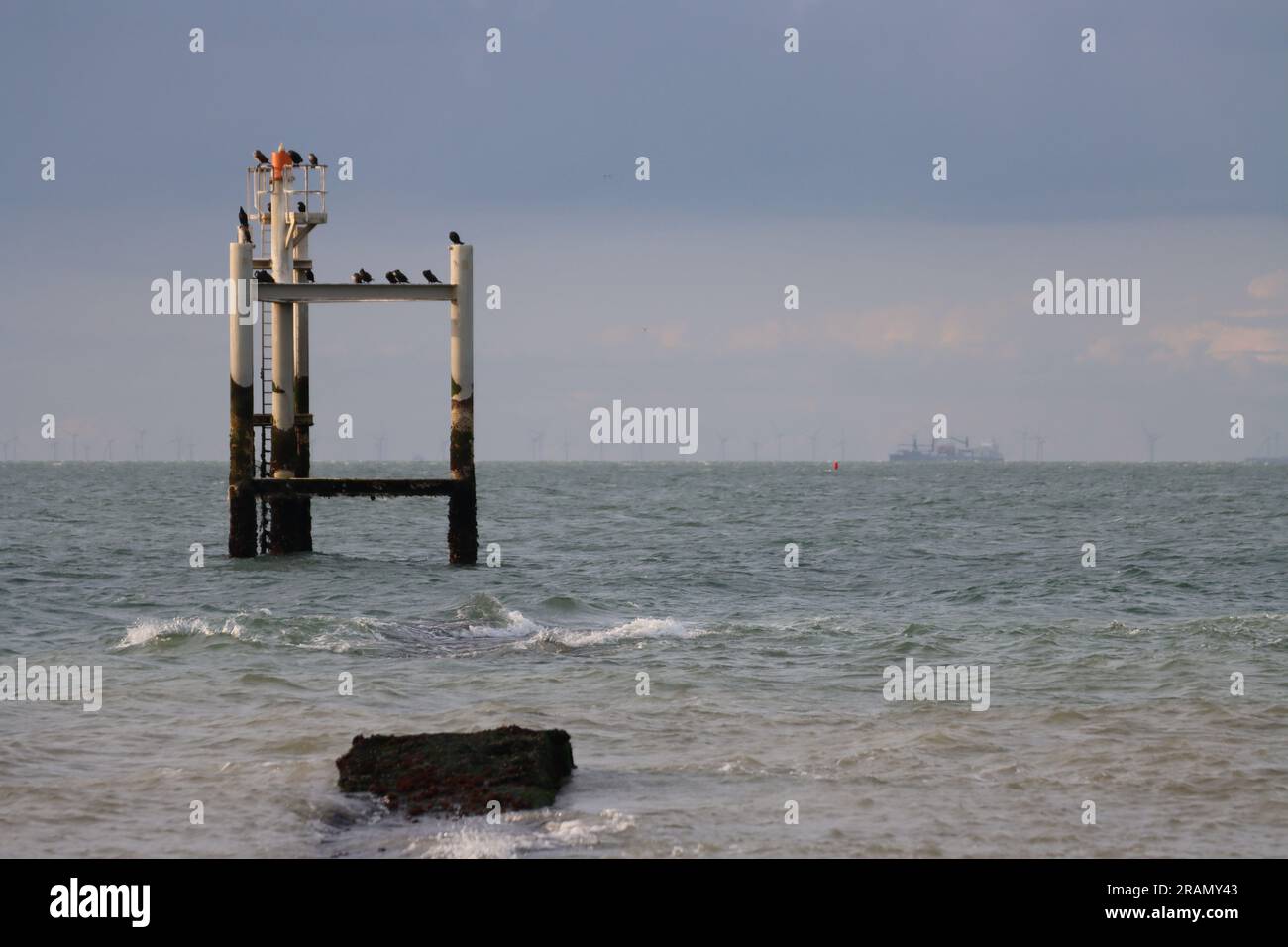 Birds sitting on the posts off the coast of Foreness Point, in ...