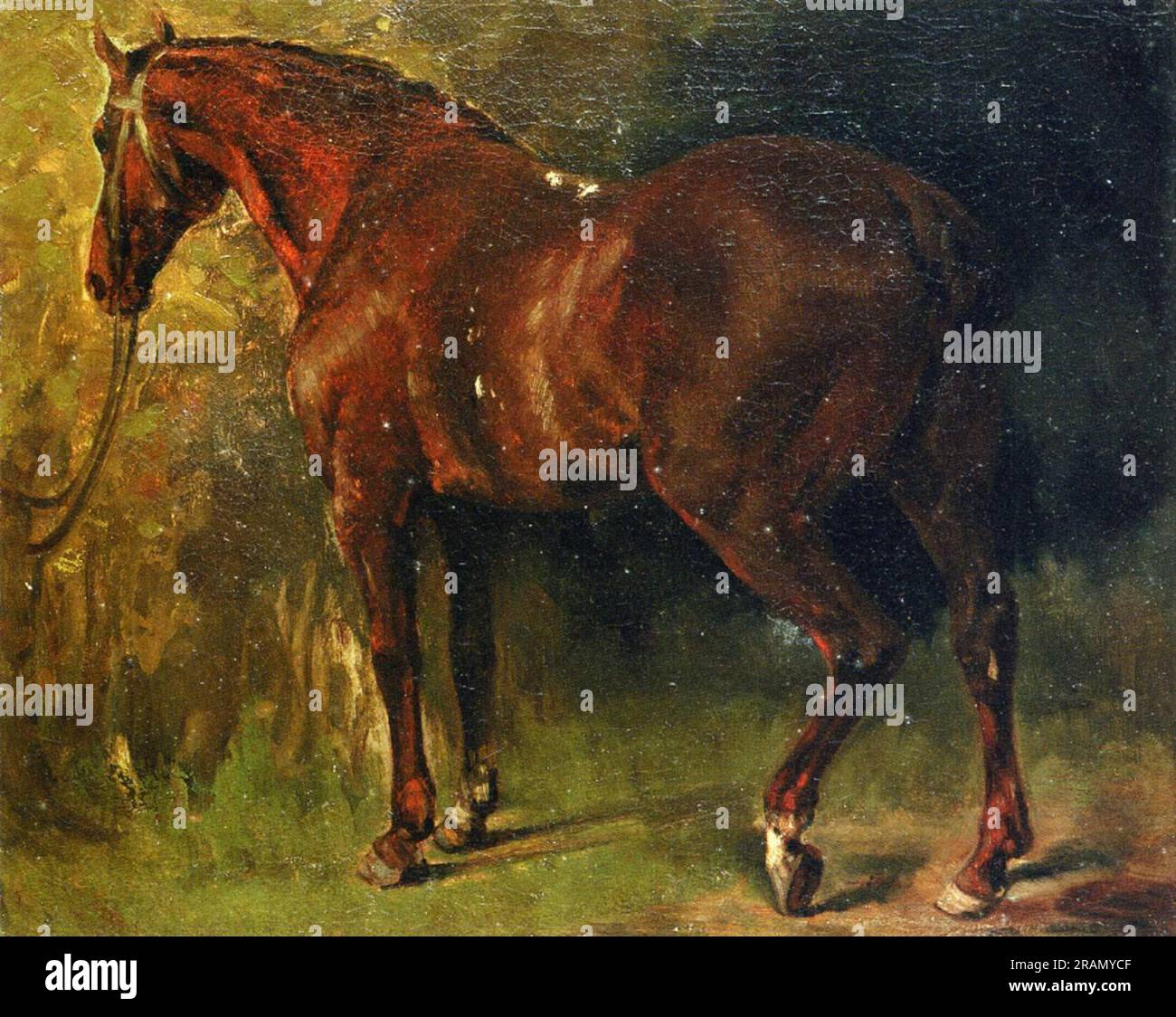 The English Horse of M. Duval by Gustave Courbet Stock Photo - Alamy