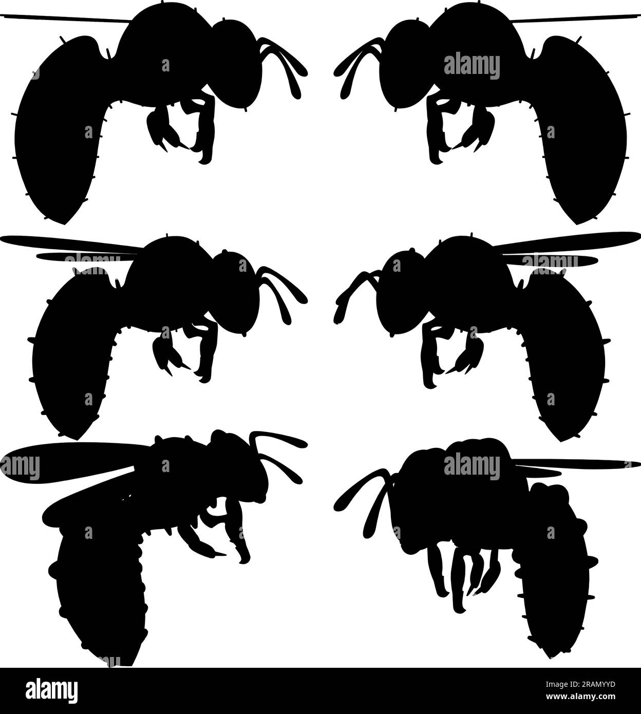 Bee Vector. Illustration Isolated On White Background. A Vector ...