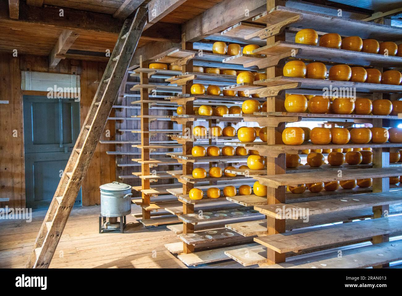 cheese warehouse with stacks of cheeseheads at the Zuiderzee Museum ...