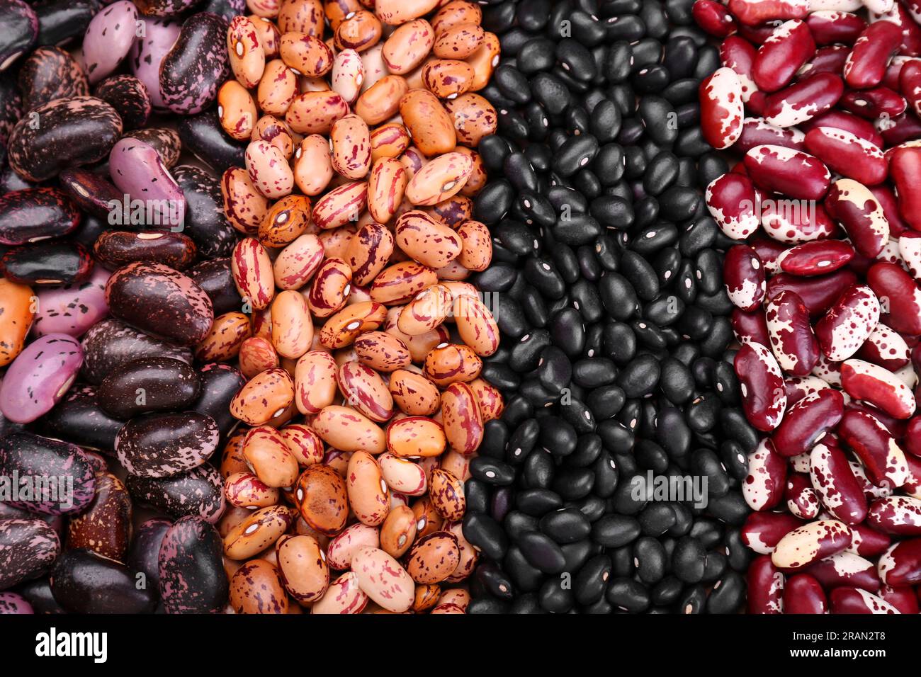 Different kinds of beans as background, closeup Stock Photo - Alamy