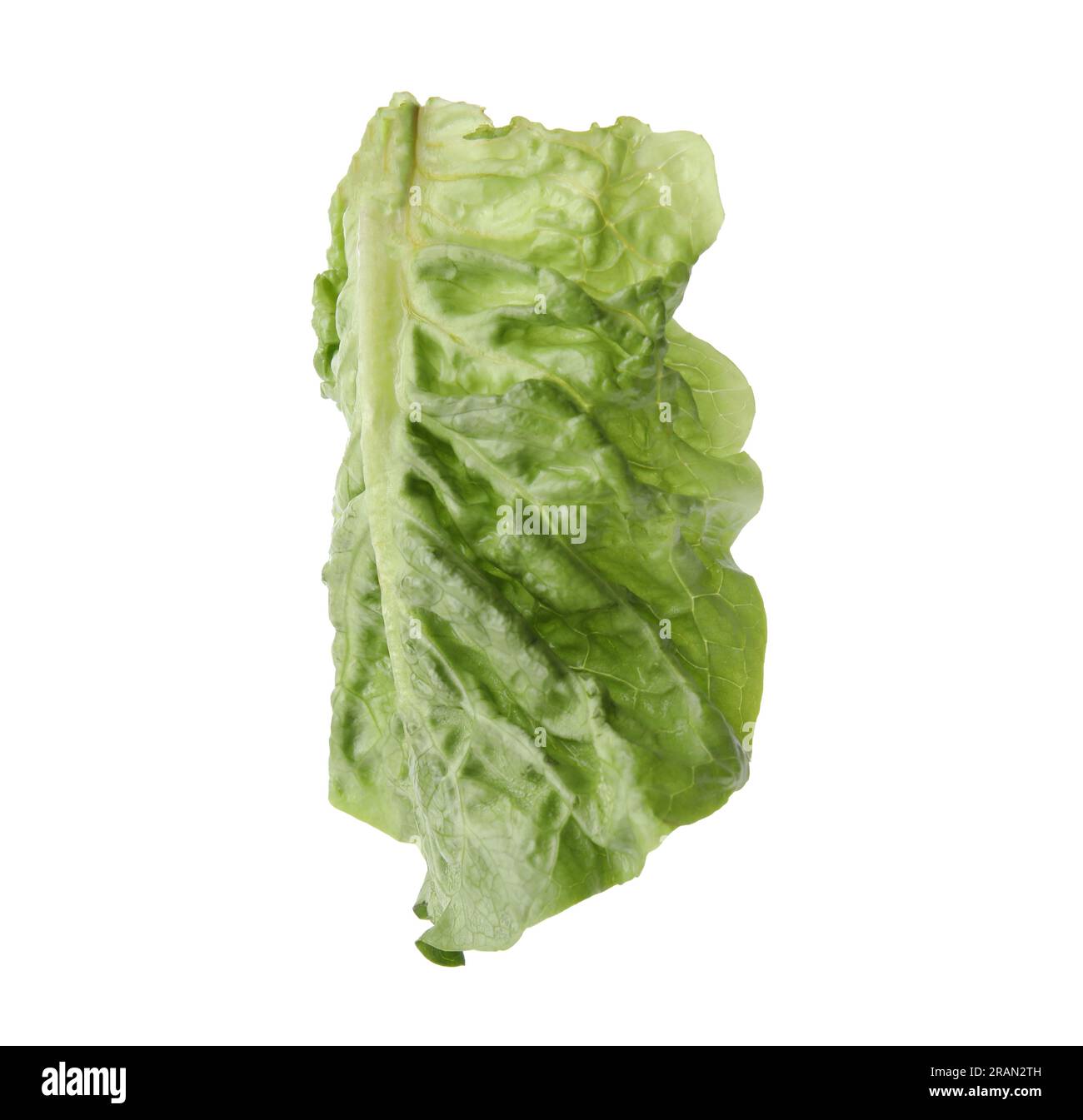 Fresh leaf of green romaine lettuce isolated on white Stock Photo - Alamy