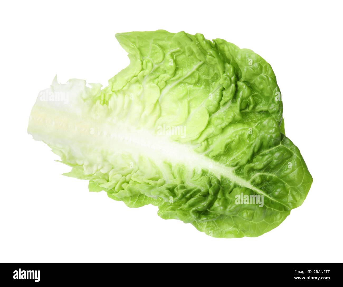 Fresh leaf of green romaine lettuce isolated on white Stock Photo - Alamy