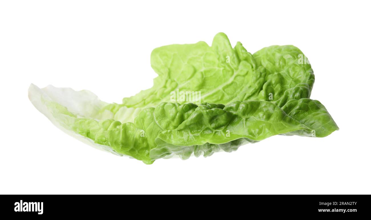 Fresh leaf of green romaine lettuce isolated on white Stock Photo - Alamy