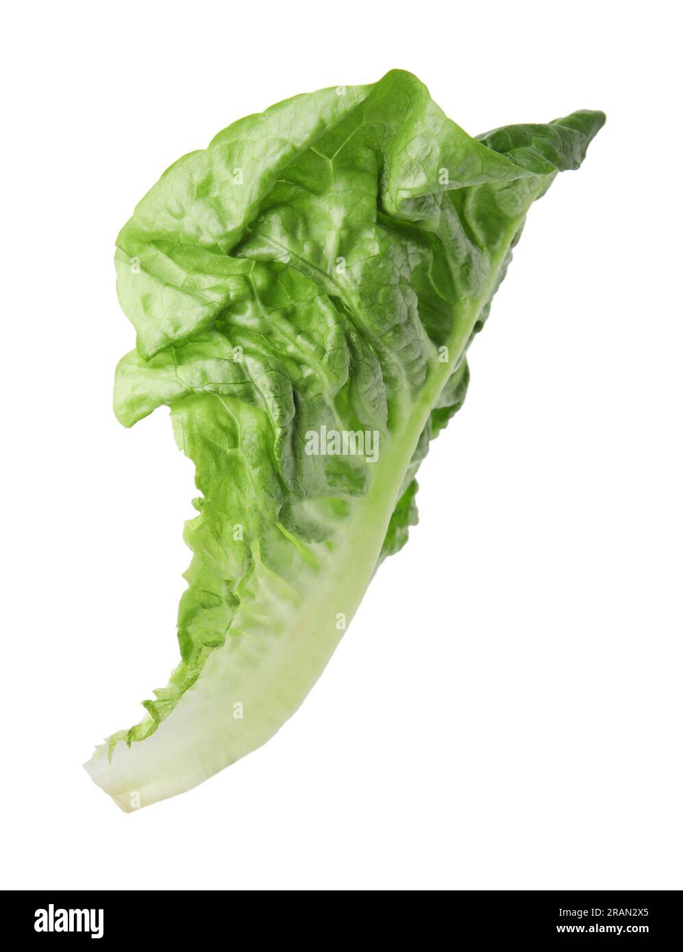 Fresh leaf of green romaine lettuce isolated on white Stock Photo - Alamy