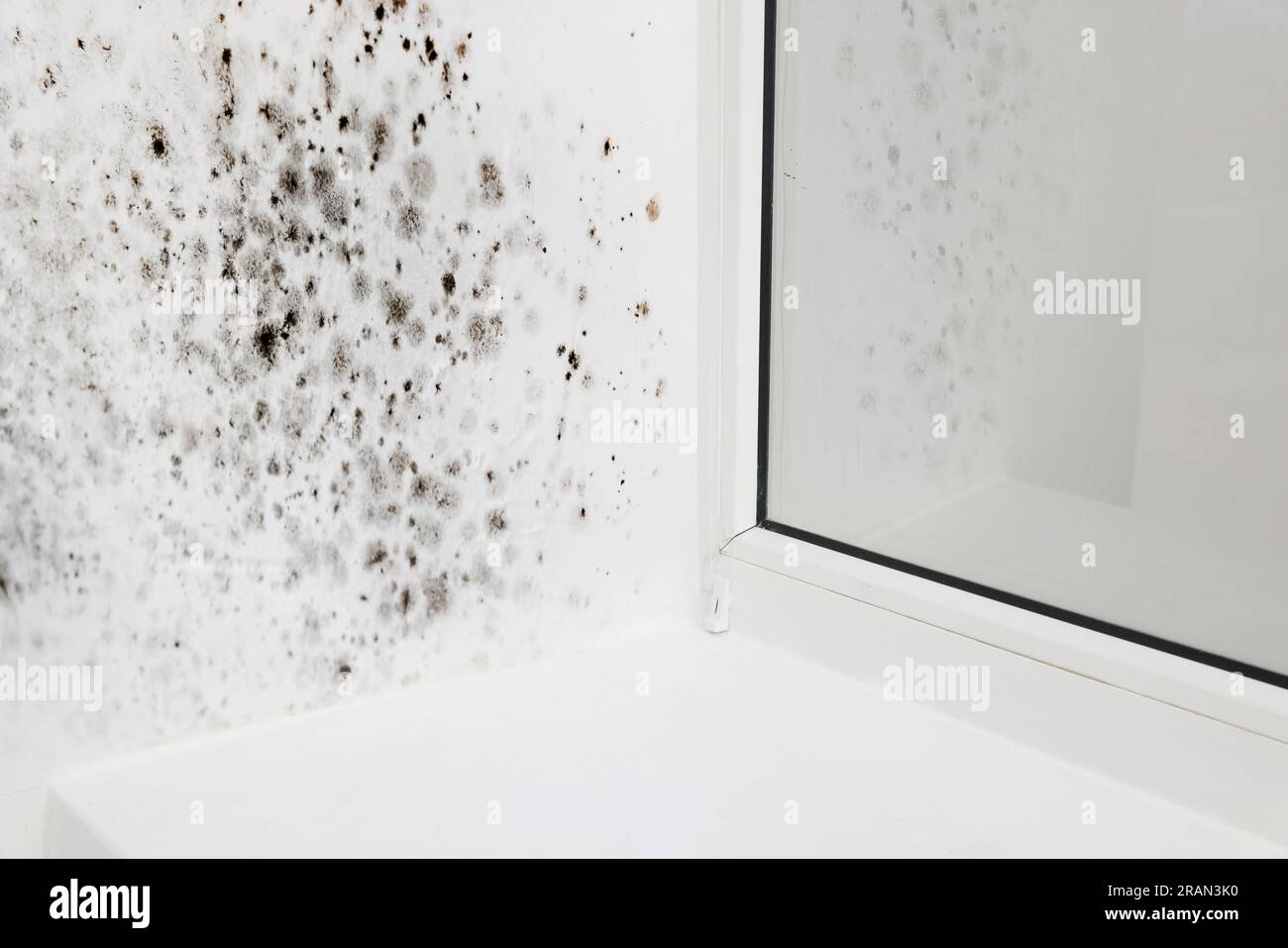 Wall affected black mold hi-res stock photography and images - Alamy