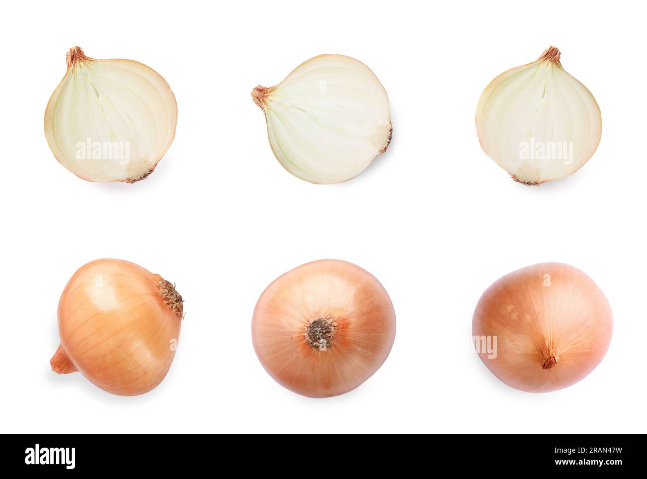 Collage with fresh onions on white background, top view Stock Photo - Alamy
