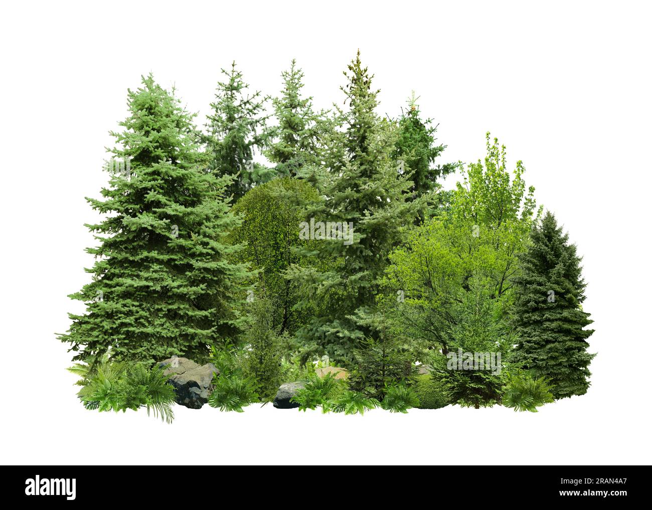 Green trees Cut Out Stock Images & Pictures - Alamy