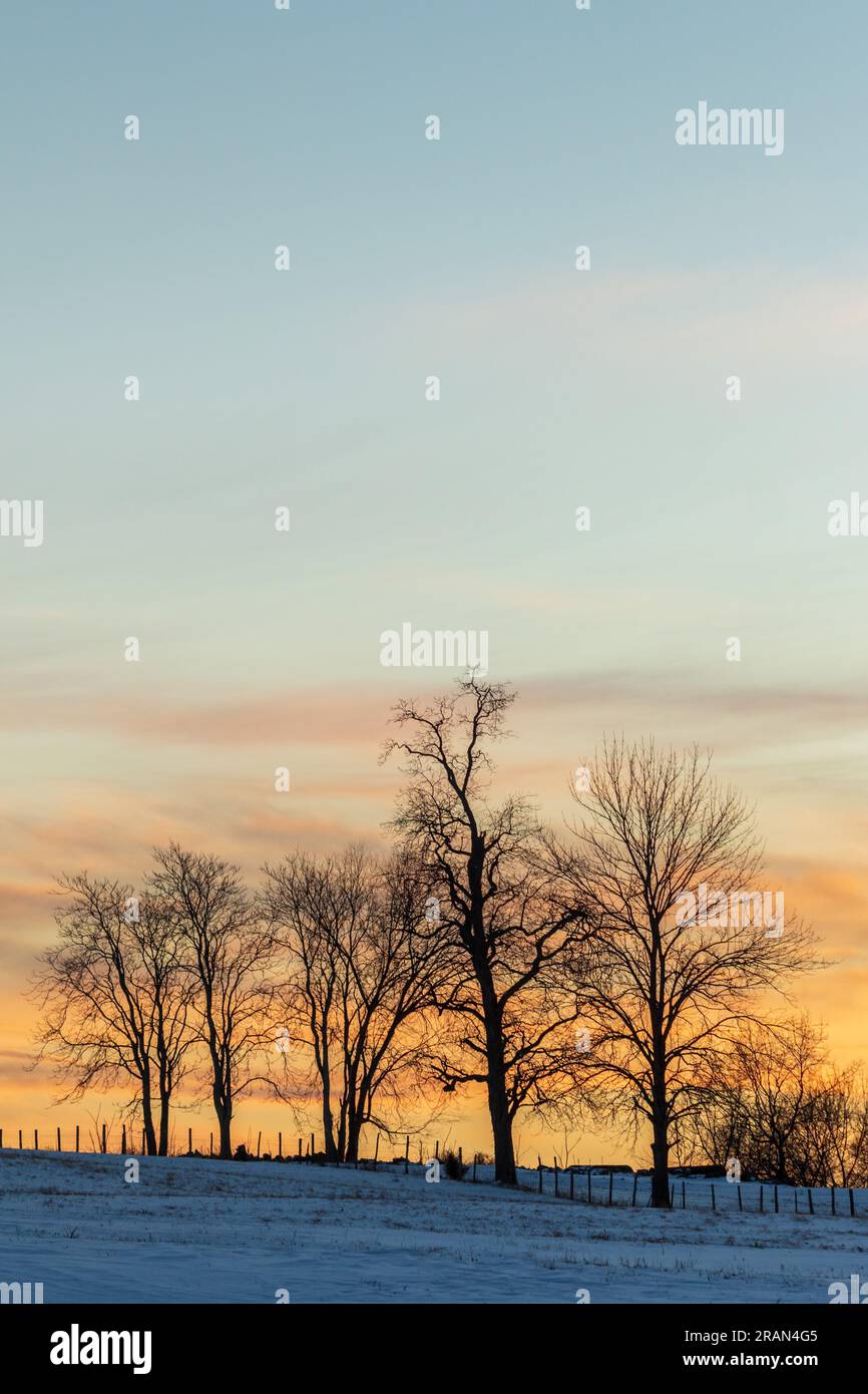 Chester valley hi-res stock photography and images - Alamy