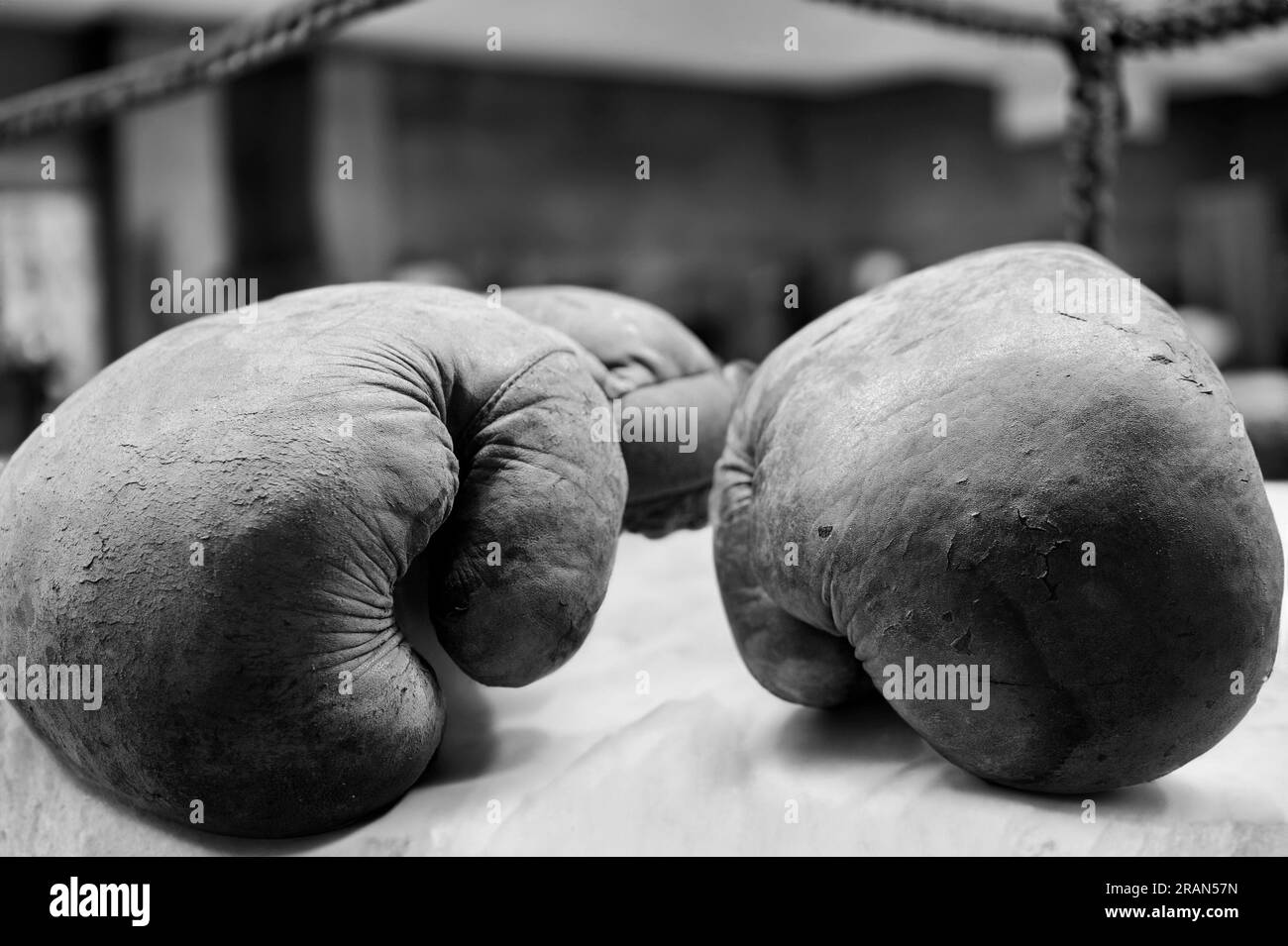Vintage or retro boxing gloves, circa 1940 to 1950 Stock Photo - Alamy
