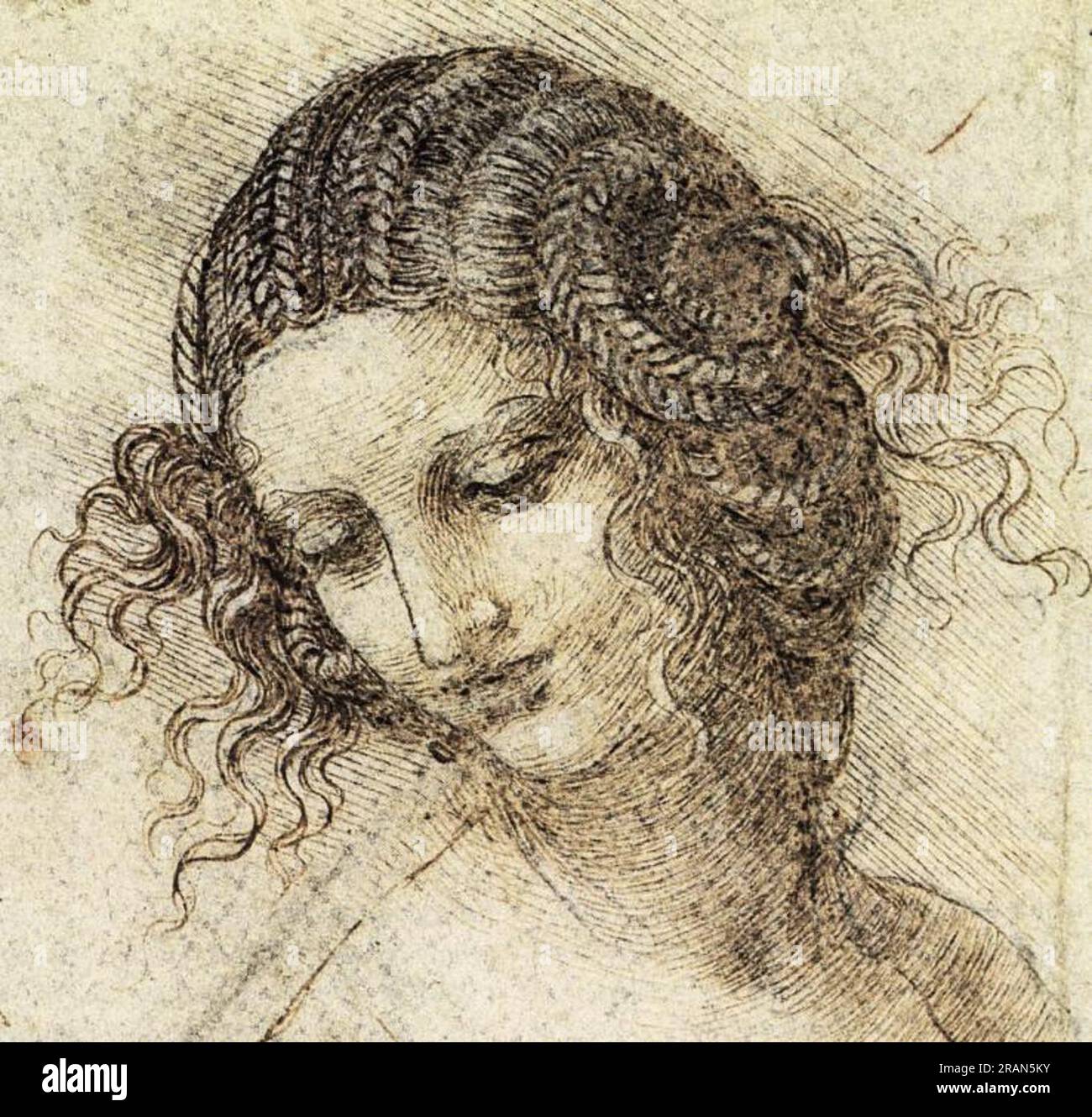 Study for the Head of Leda c.1506; Milan, Italy by Leonardo da Vinci ...