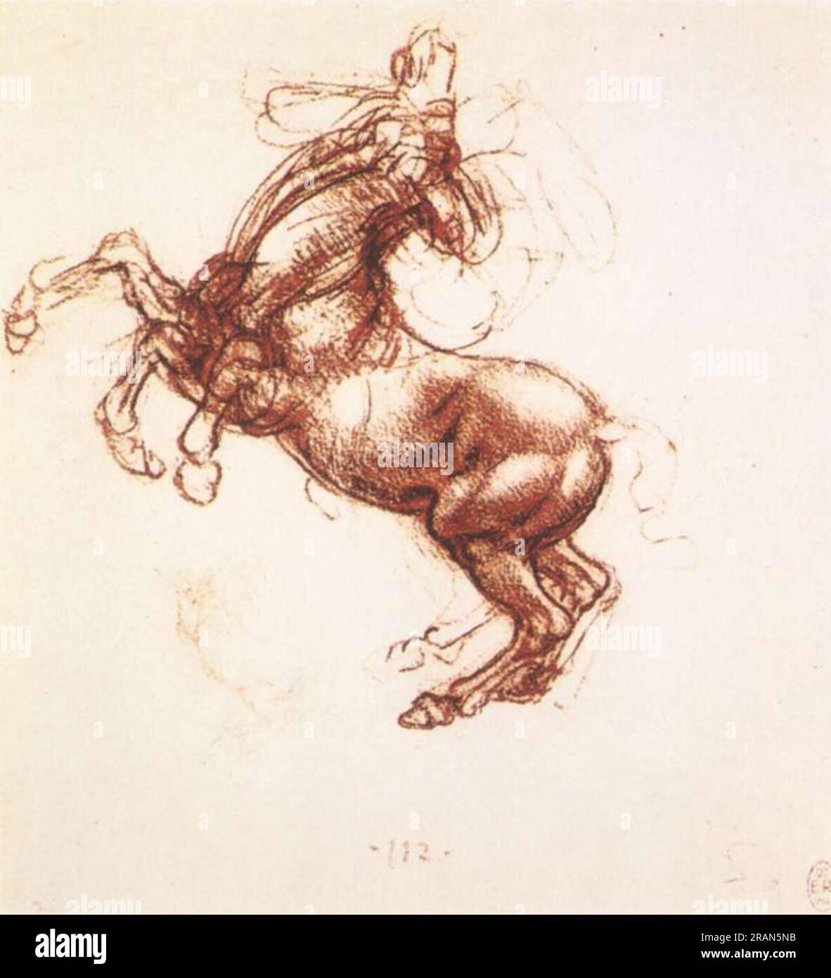Rearing horse c.1503; Florence, Italy by Leonardo da Vinci Stock Photo ...