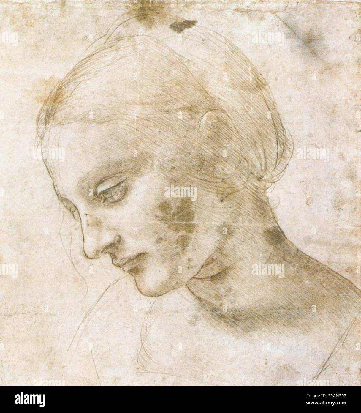 Study of a woman's head c.1490; Milan, Italy by Leonardo da Vinci Stock ...