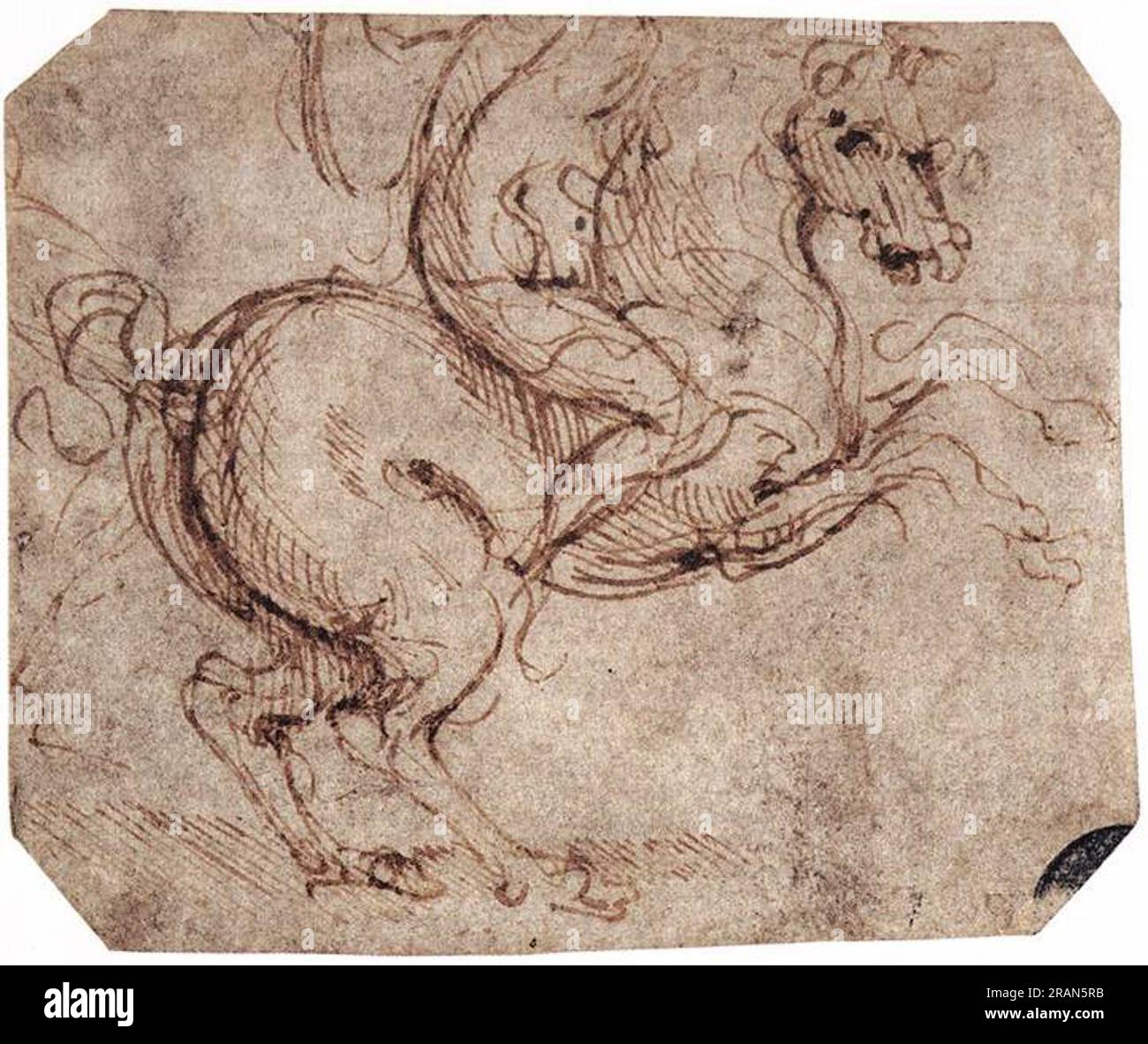 Study of a rider c.1504; Florence, Italy by Leonardo da Vinci Stock ...
