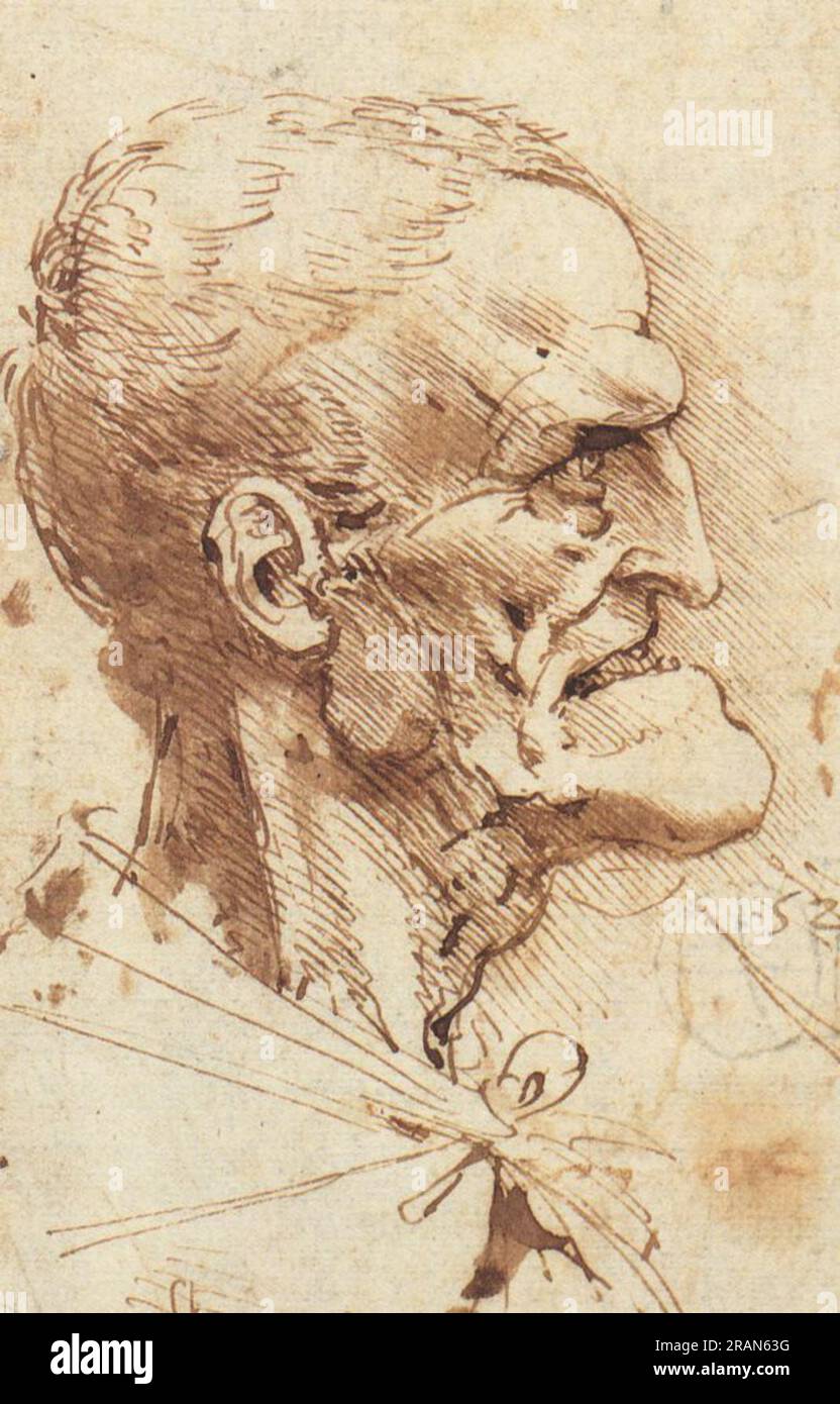 Grotesque Profile c.1487; Milan, Italy by Leonardo da Vinci Stock Photo ...