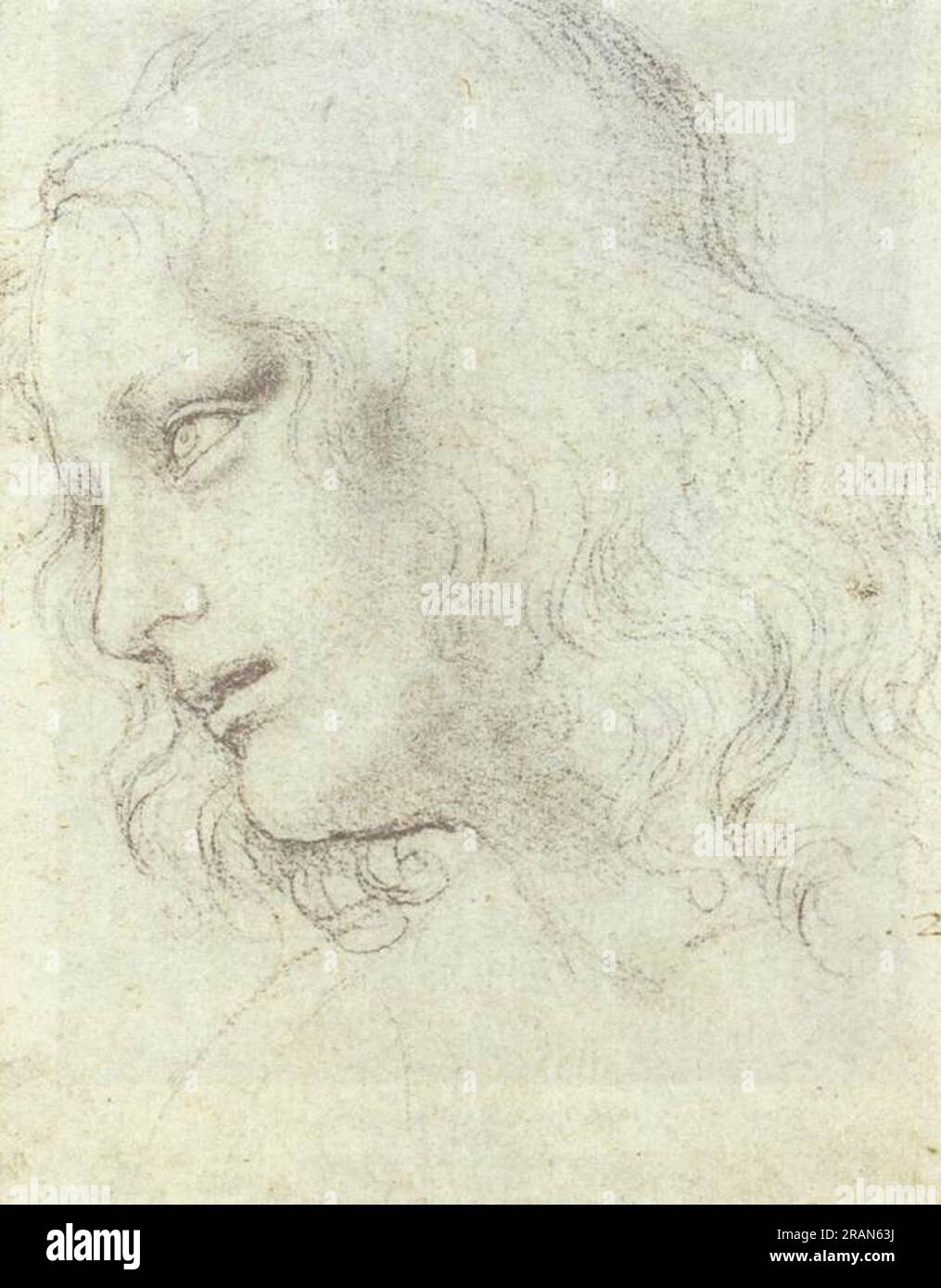 Study for the Last Supper: James c.1495; Milan, Italy by Leonardo da ...